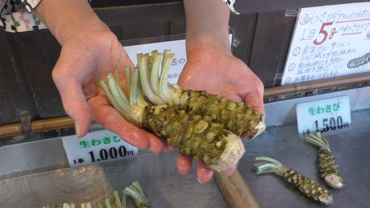 Once Upon a Japanese Farm. Vol. 1. Wasabi, Part 1 – Real Wasabi | めぐりジャパン