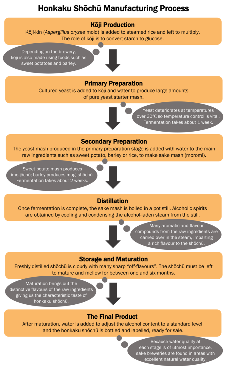 Shōchū 101 – A Primer for Beginners and Fans Alike | めぐりジャパン