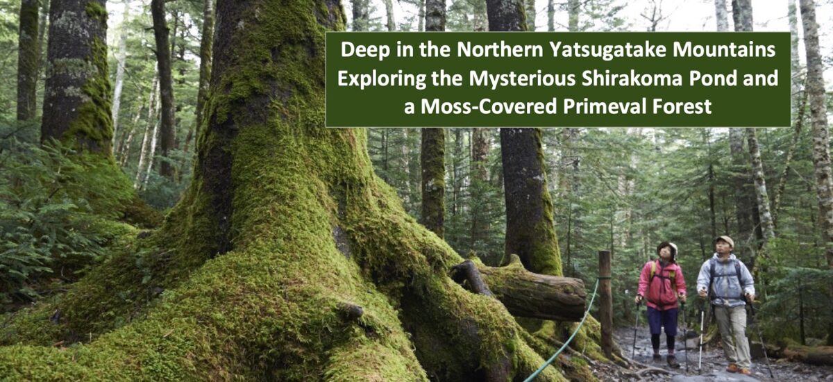 ＜Nagano＞ Deep in the Northern Yatsugatake Mountains Exploring the ...