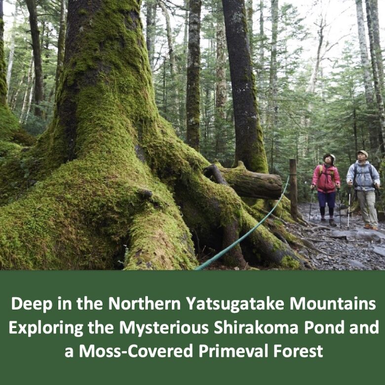 ＜Nagano＞ Deep in the Northern Yatsugatake Mountains Exploring the ...